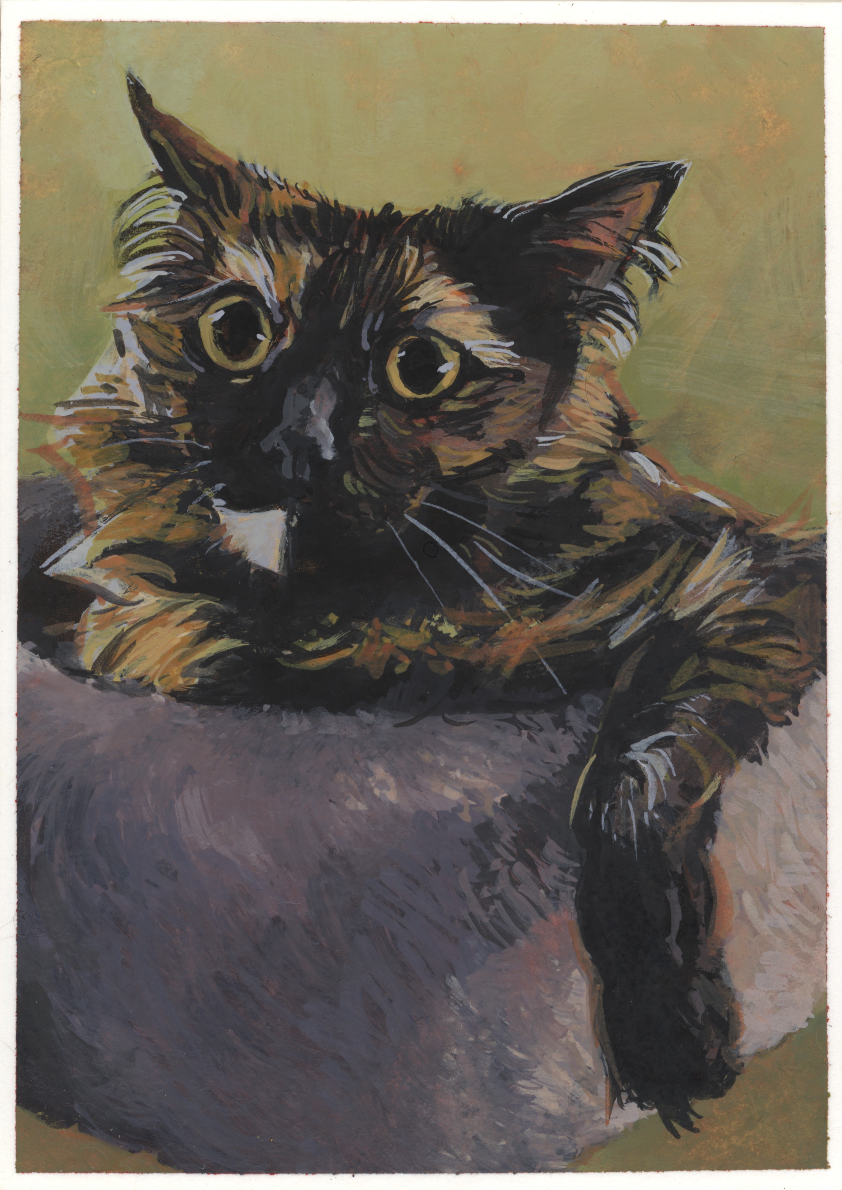 Catface Catplace: hello dumbass, please do okay - The Something Awful ...