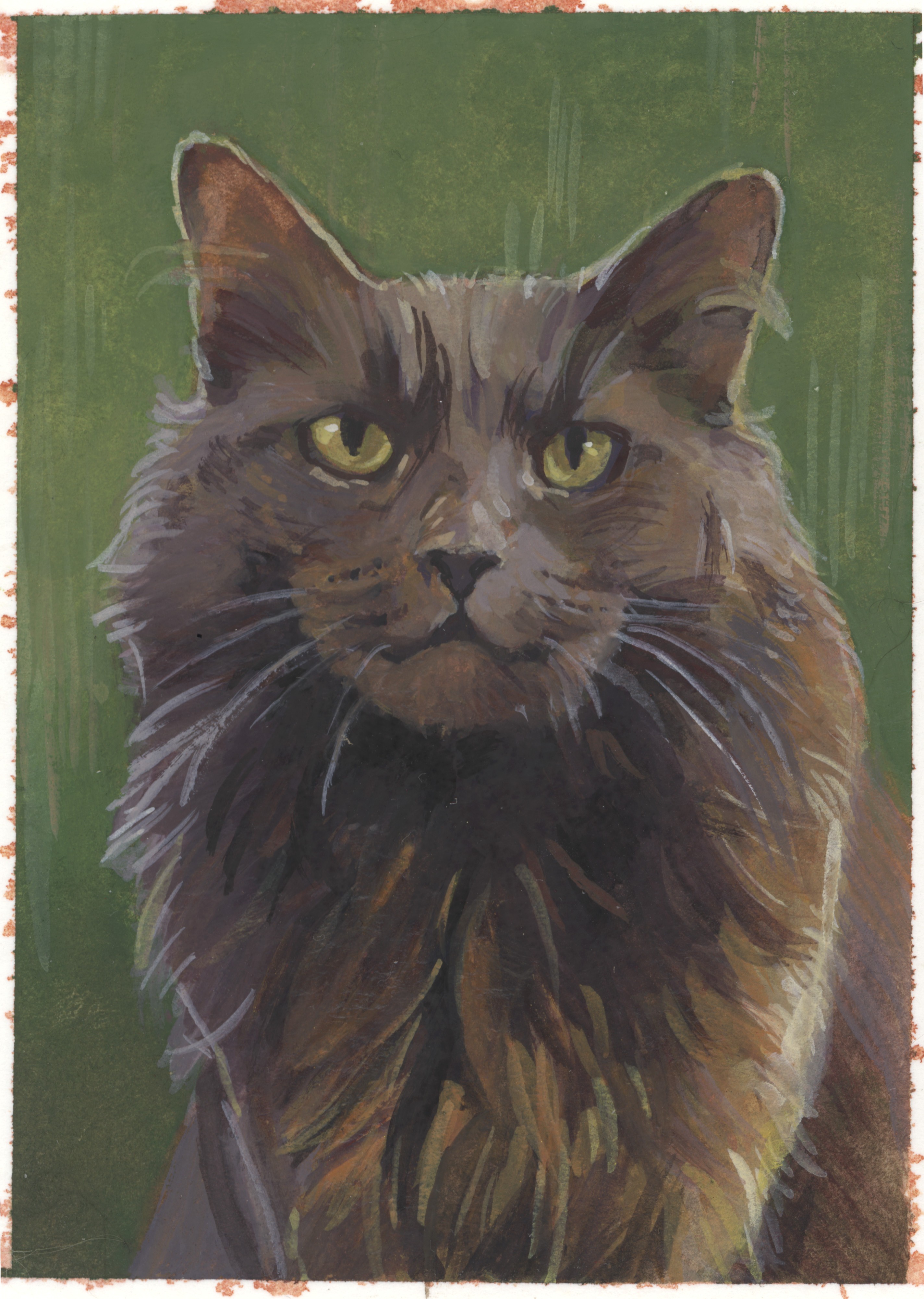 Catface Catplace: hello dumbass, please do okay - The Something Awful ...